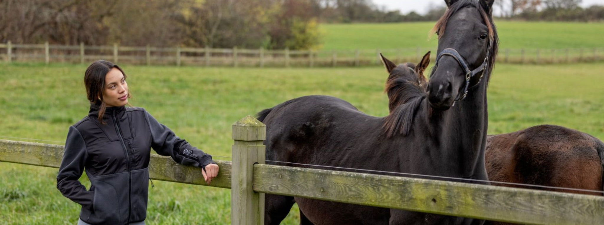 Turning Out Horses to Pasture - All You Need To Know